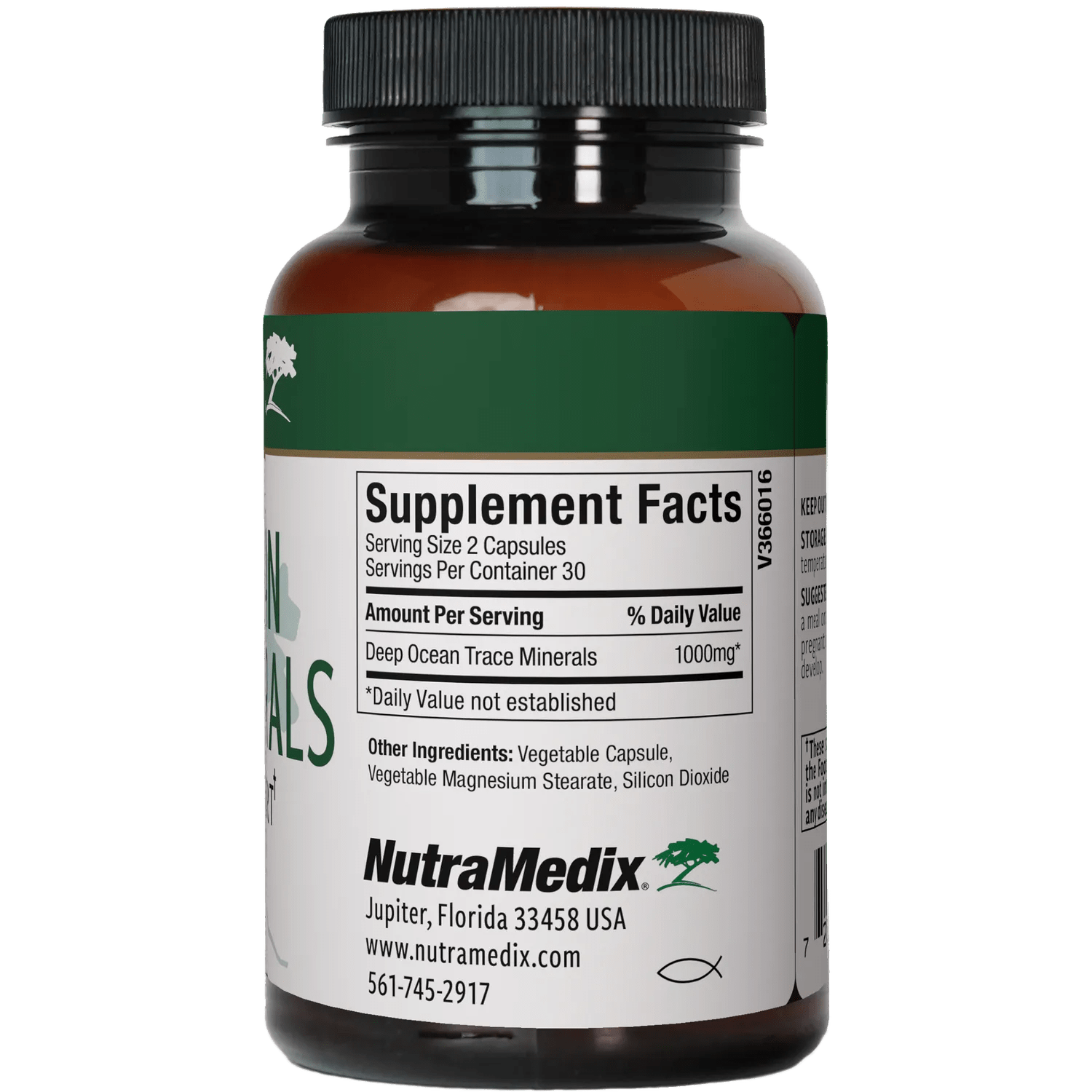 Trace Minerals Supplements - Essential Ocean Minerals Capsules